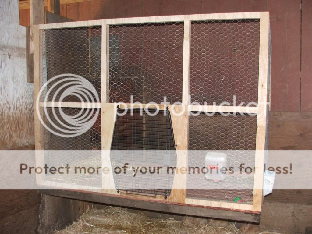 Flemish Giant Rabbit Cage